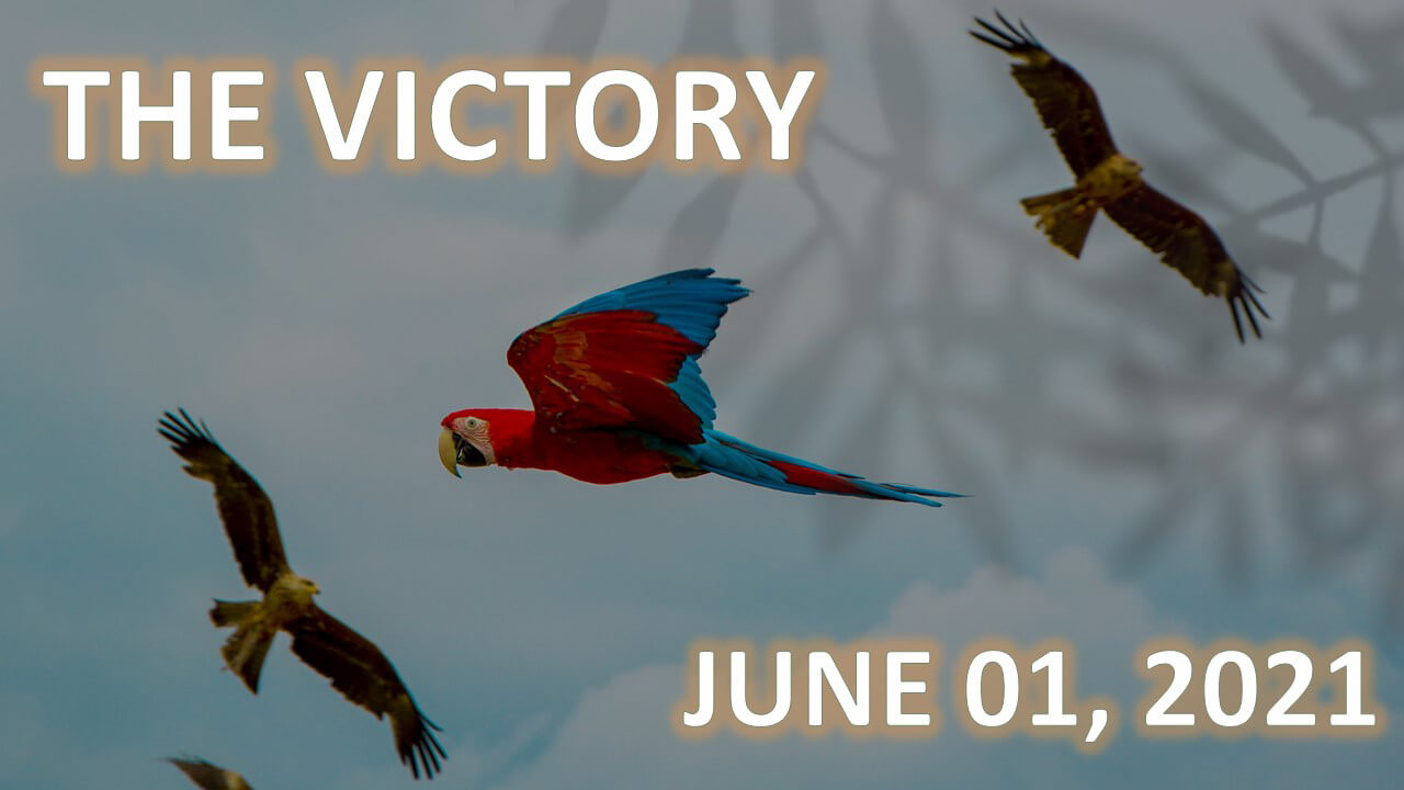The Victory – June 01, 2021 - The Davidian Seventh-day Adventists ...
